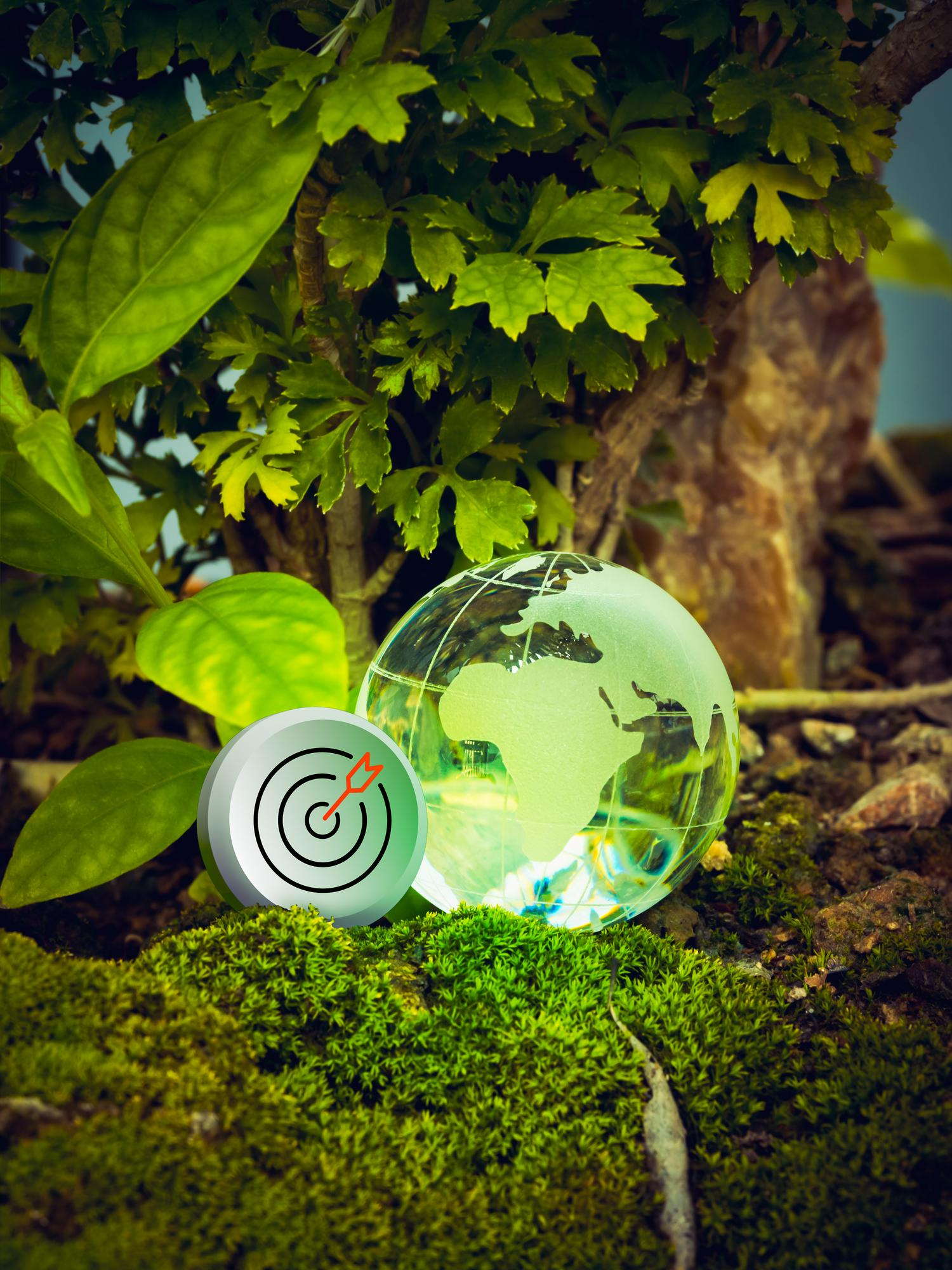 The Kayan Token – Start Unlocking Sustainable Value