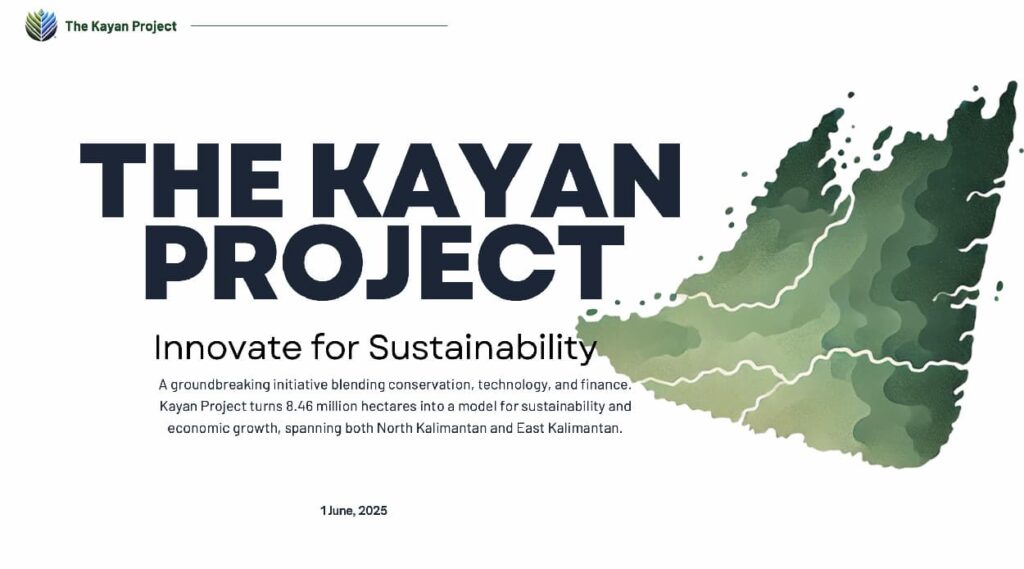 The Kayan Token – Start Unlocking Sustainable Value