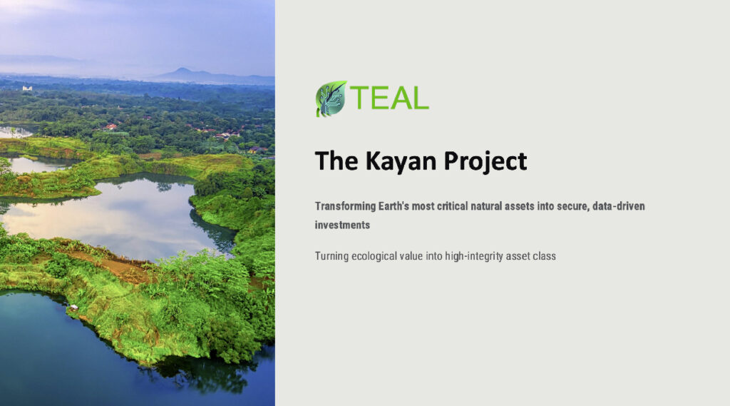 The Kayan Token – Start Unlocking Sustainable Value